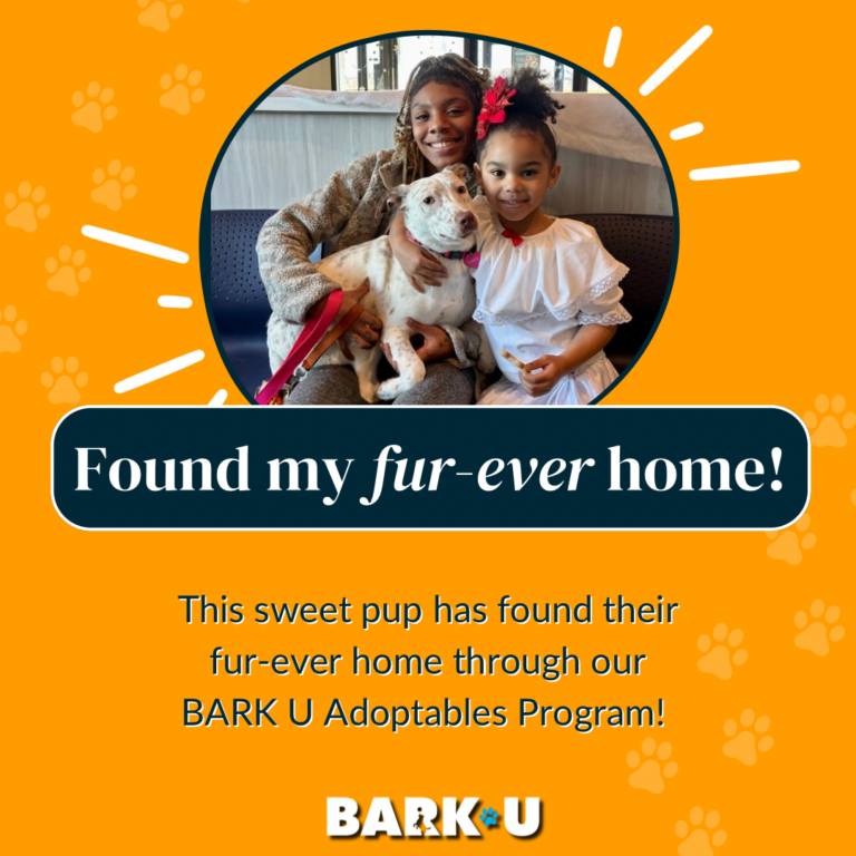 Adoptables Program - BARK U